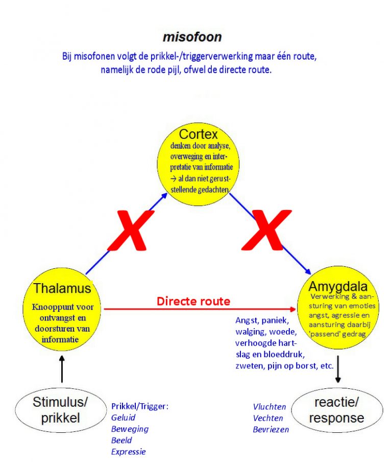 Misofonie – Edumax & Psymax