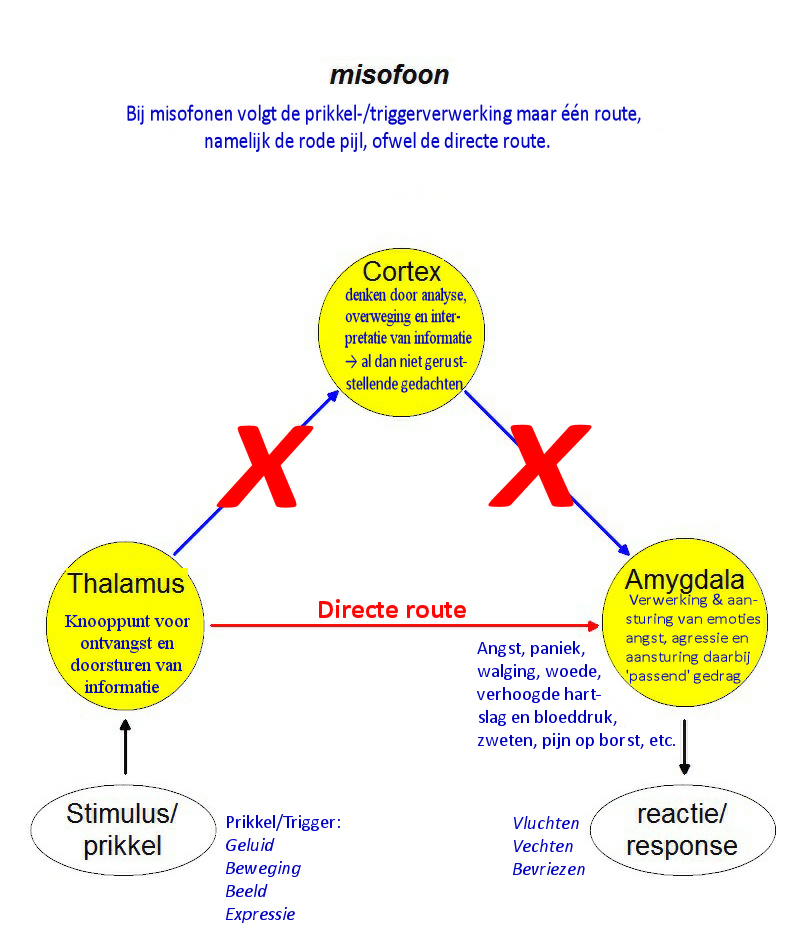 Misofonie – Edumax & Psymax