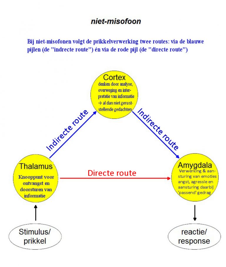 Misofonie – Edumax & Psymax